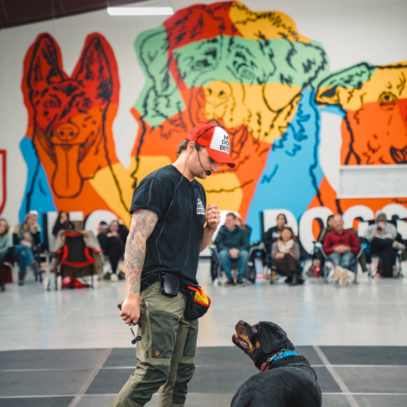 Post from Tom Davis Dog Training