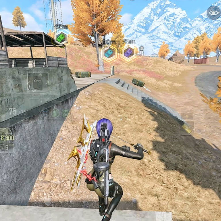 Post from PEG YT CODM