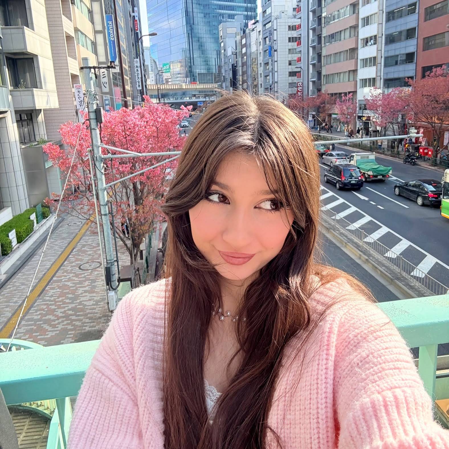 Post from HyperCookiie