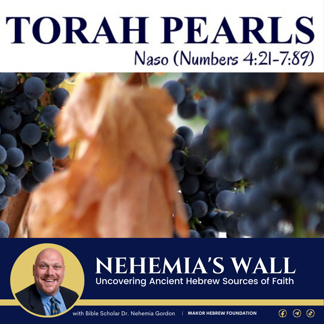 Post from Nehemia Gordon