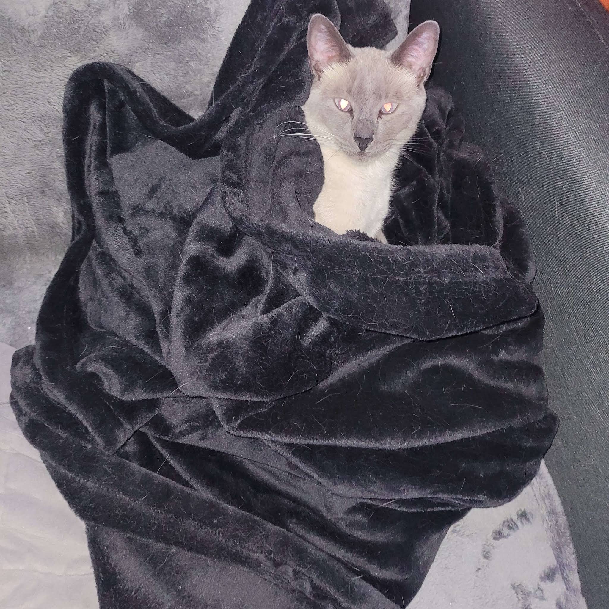 Post from Beautiful OB