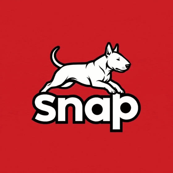 Post from Snap Bull Terrier