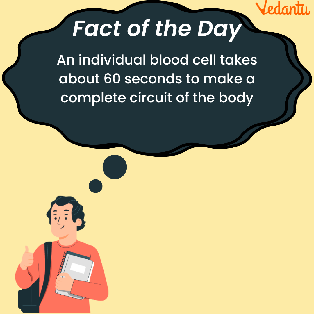 Post from Vedantu Biotonic for NEET