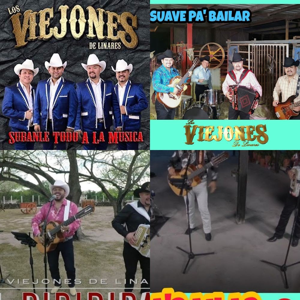 Cumbias los viejones de linares