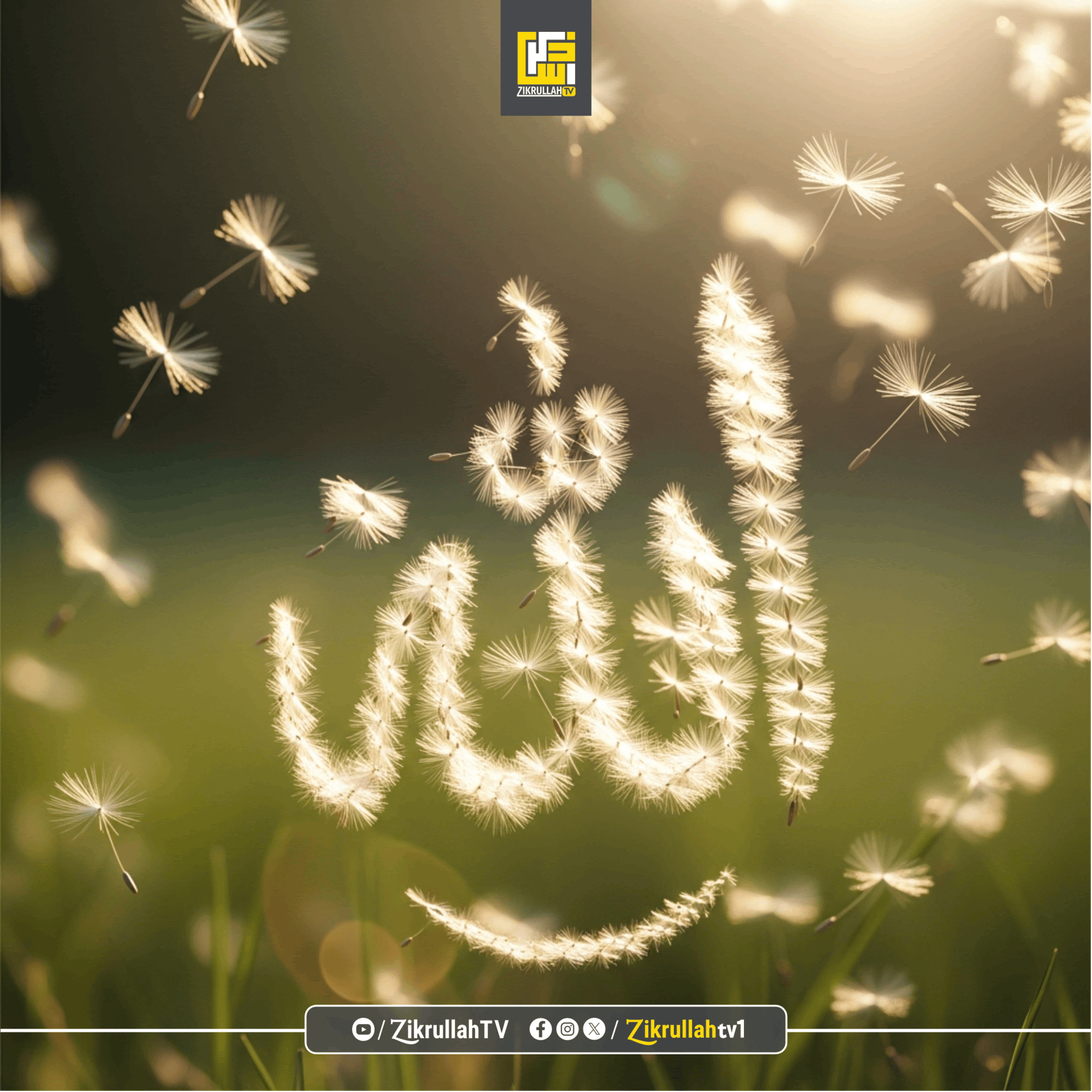 Post from Zikrullah TV