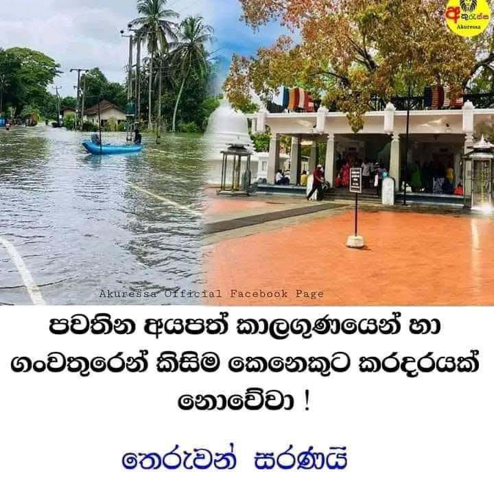 Post from Animals Lanthaya