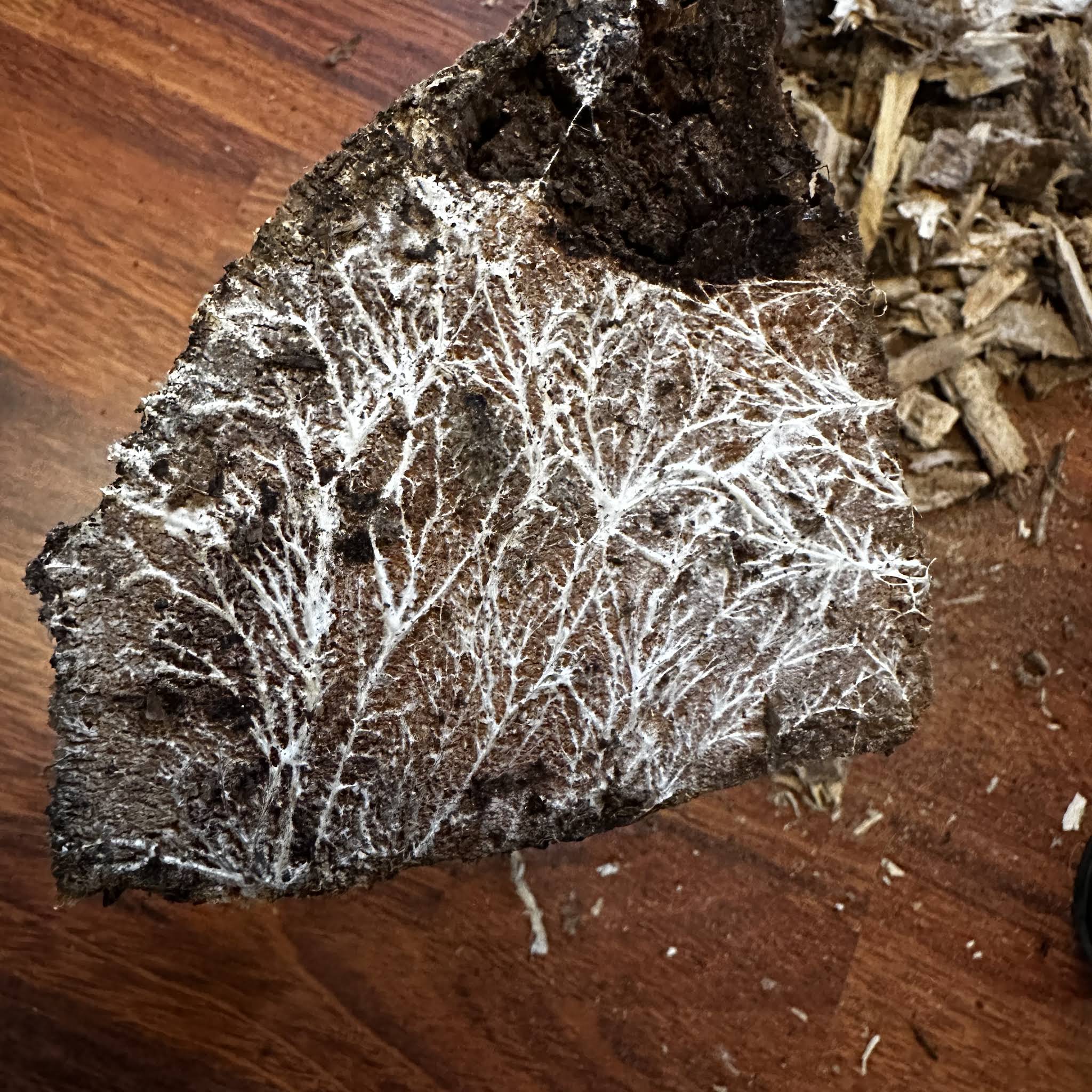 Post from Perma Pastures Farm
