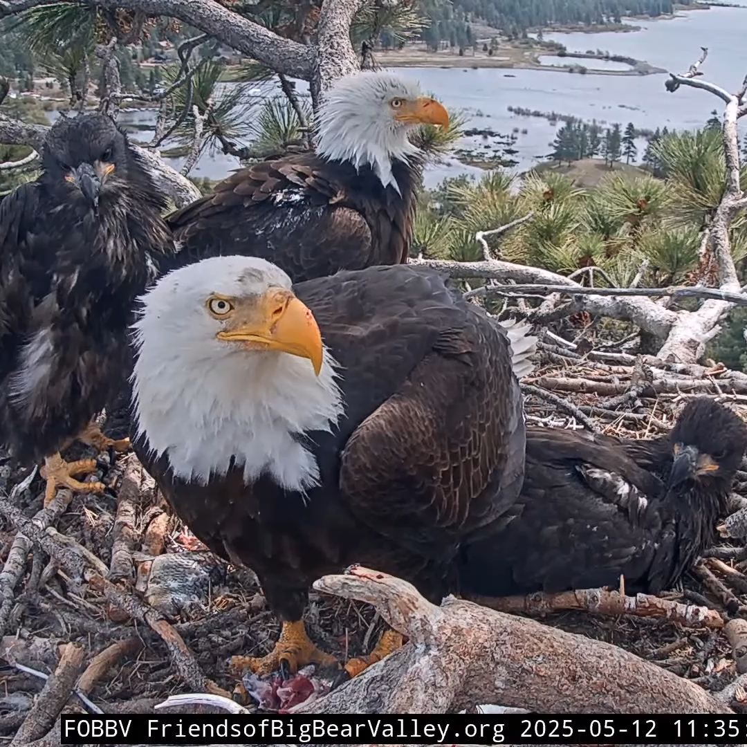 Post from FOBBV CAM