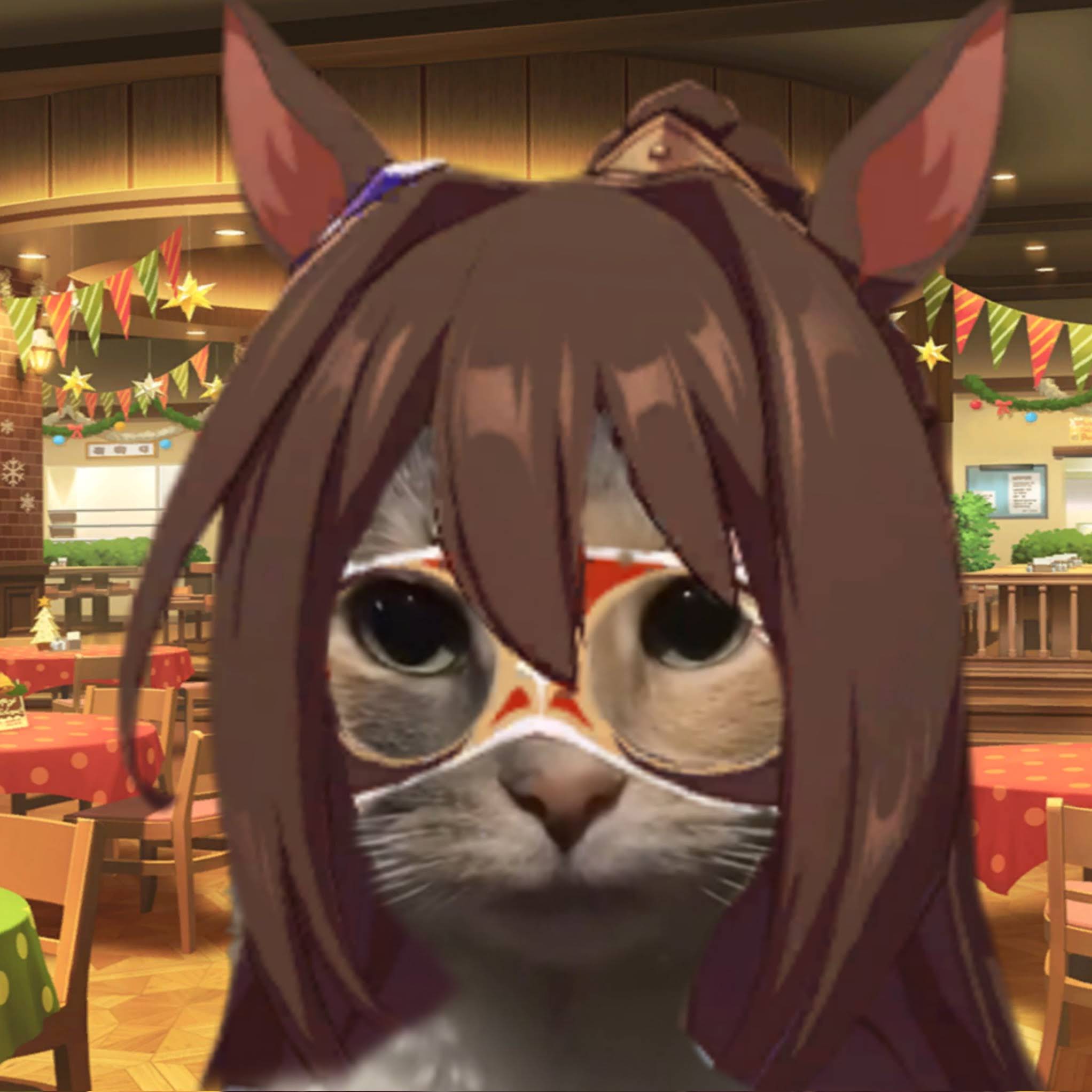 Post from Void_Meows☁
