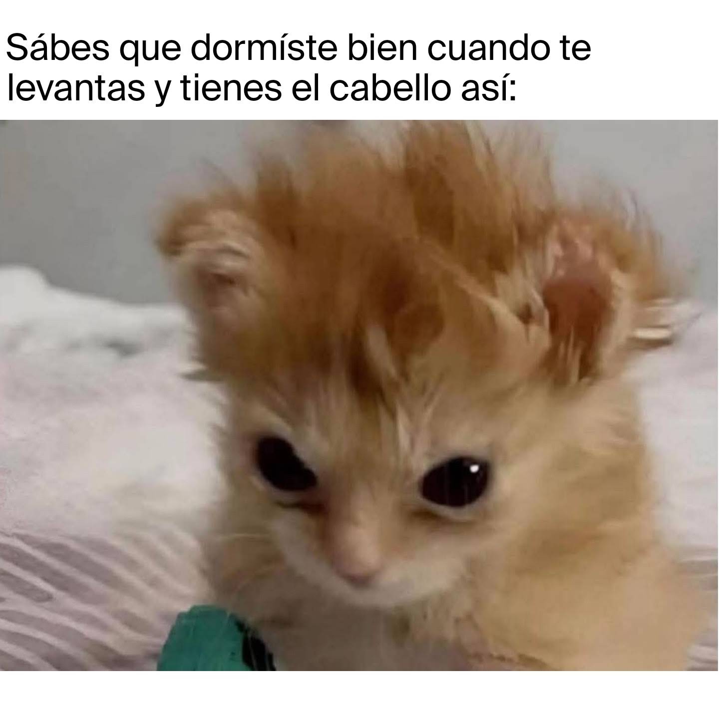 Post from SnowFlake Freak