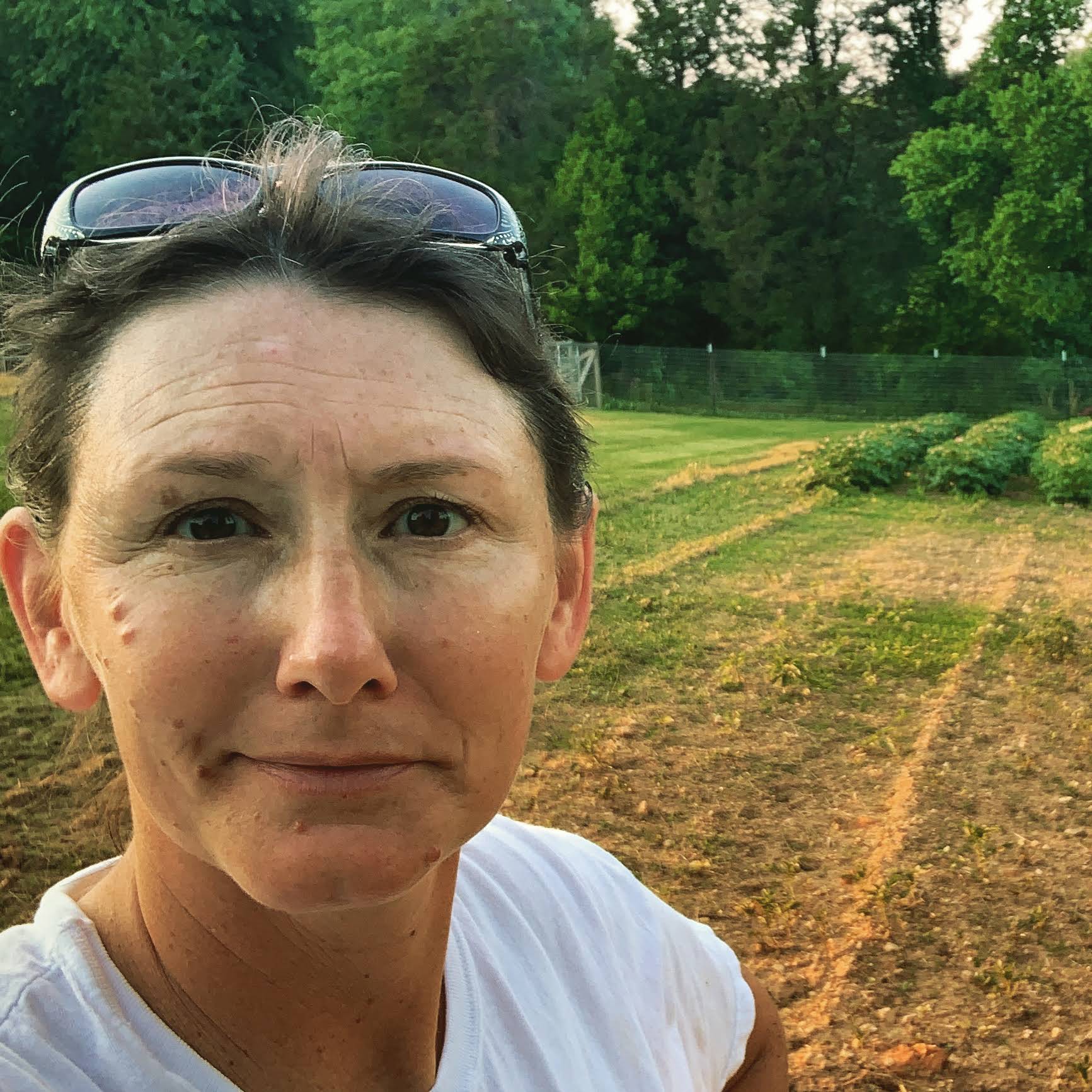 Post from Appalachia's Homestead with Patara