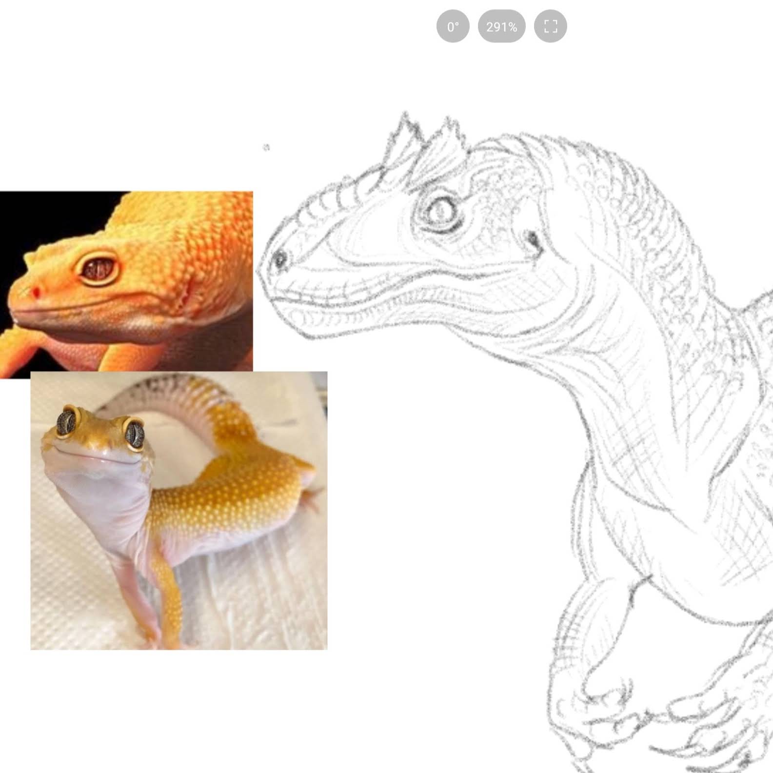 Post from Sekker Draws