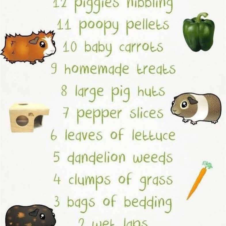 Post from Jessica's Dumpster Girl's