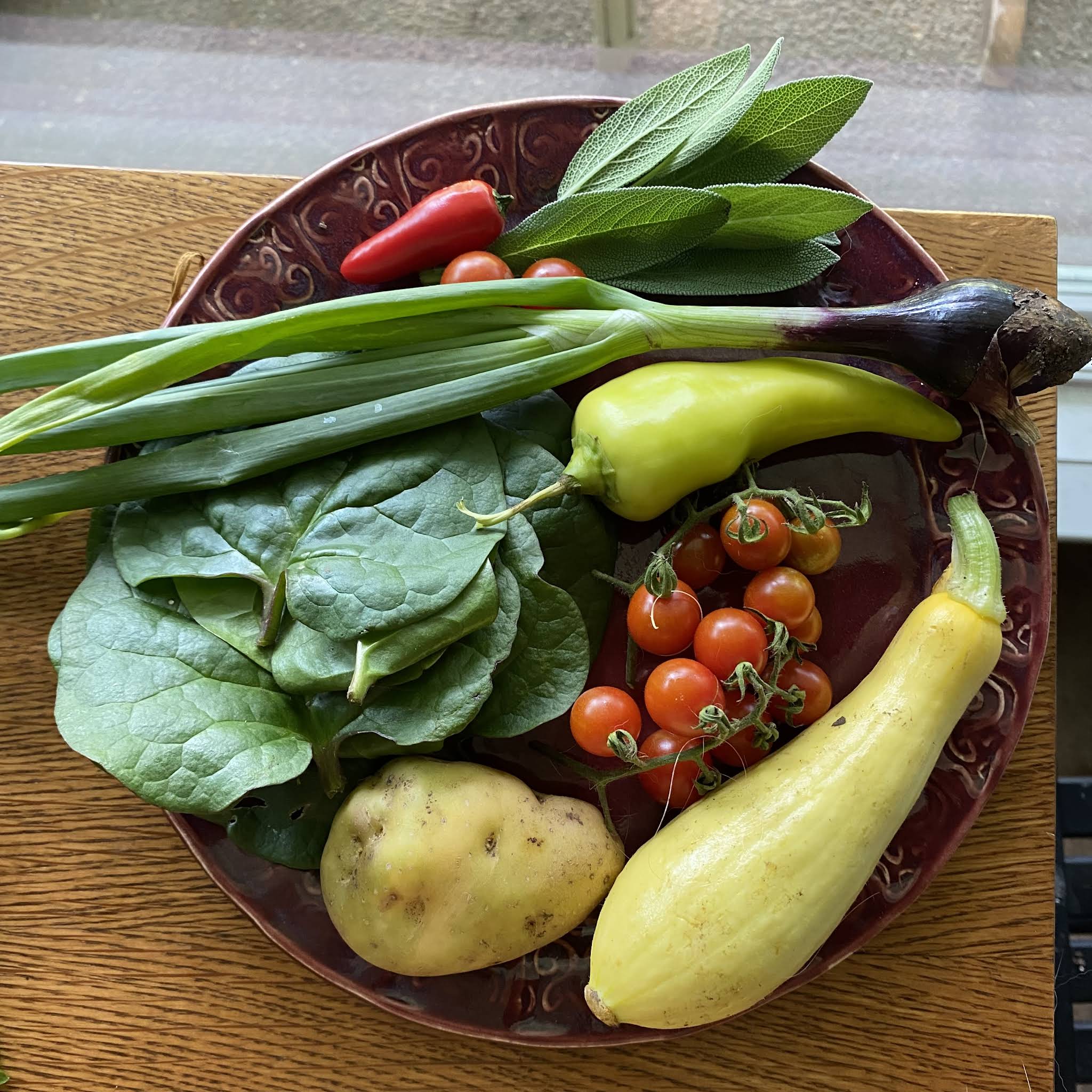 Post from Kaye Kittrell Late Bloomer