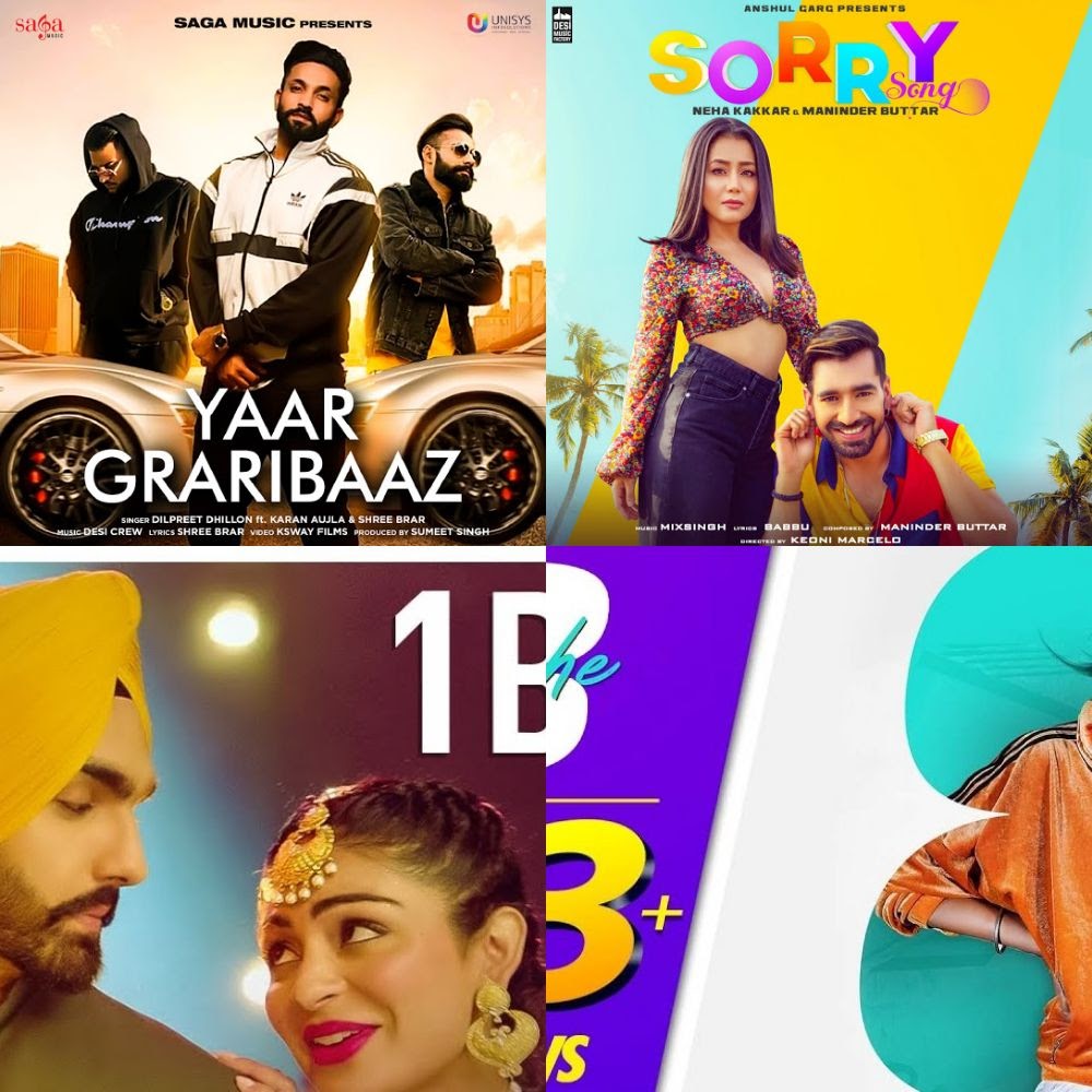 Punjabi mix