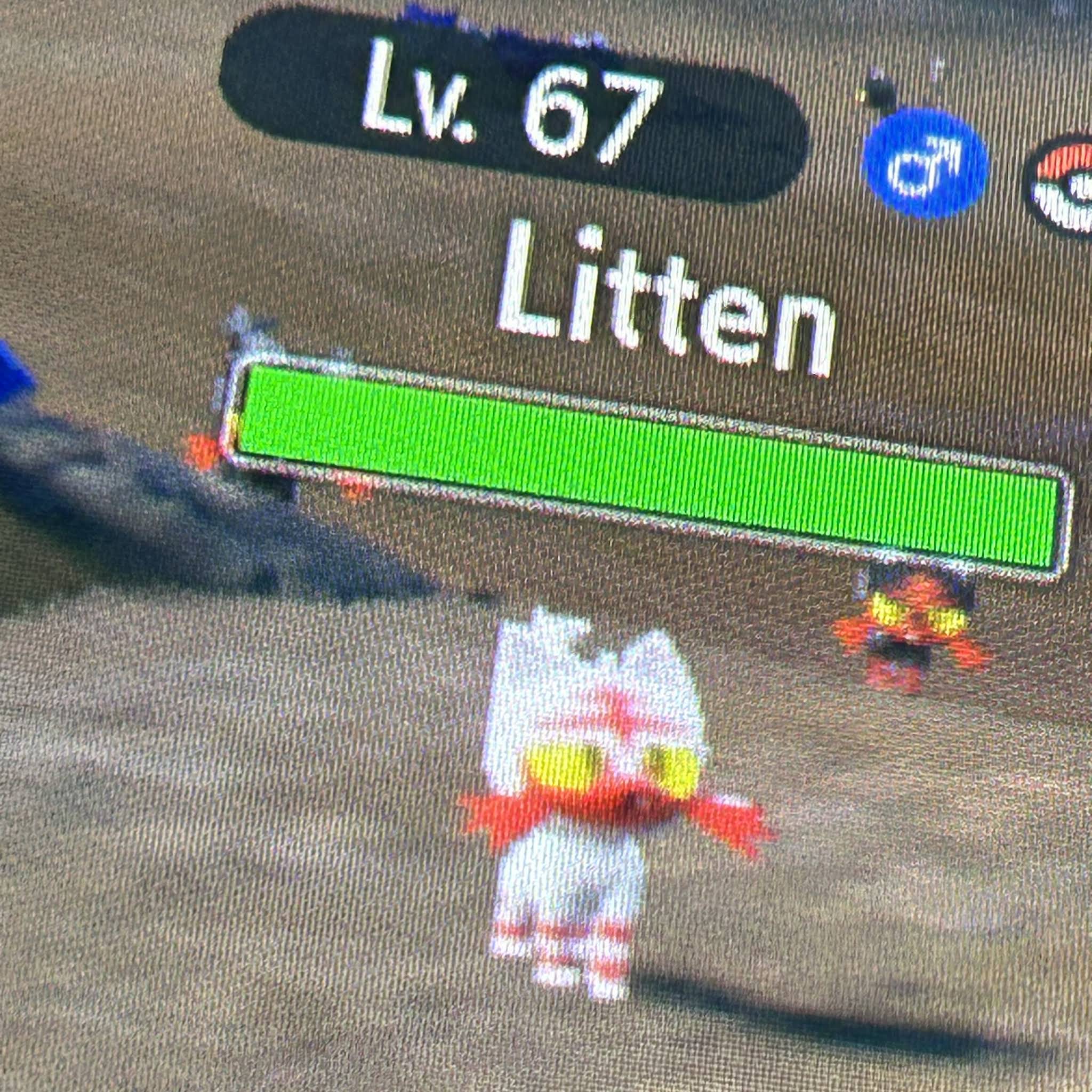 Post from Shiny Catherine