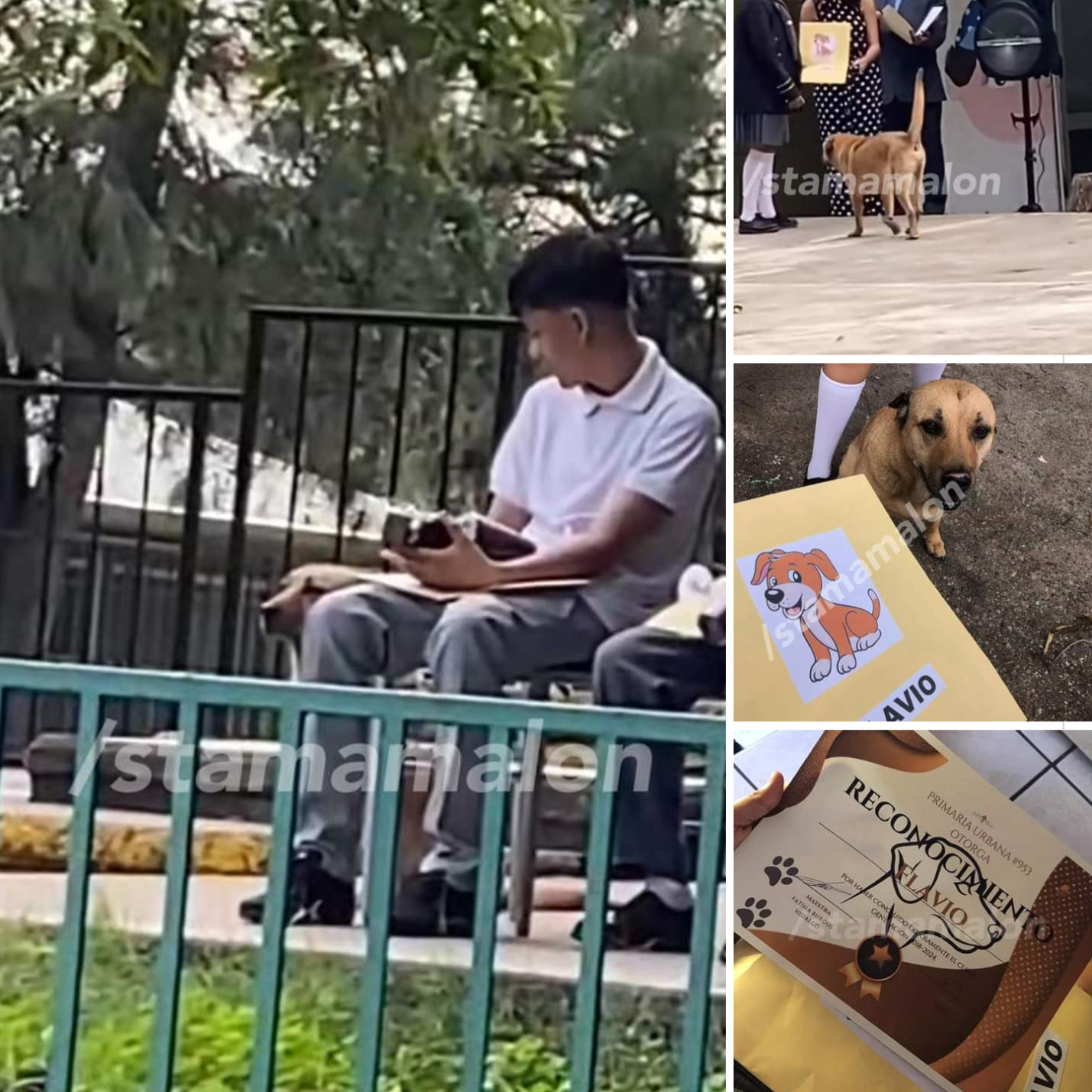 Post from Oscar Mel
