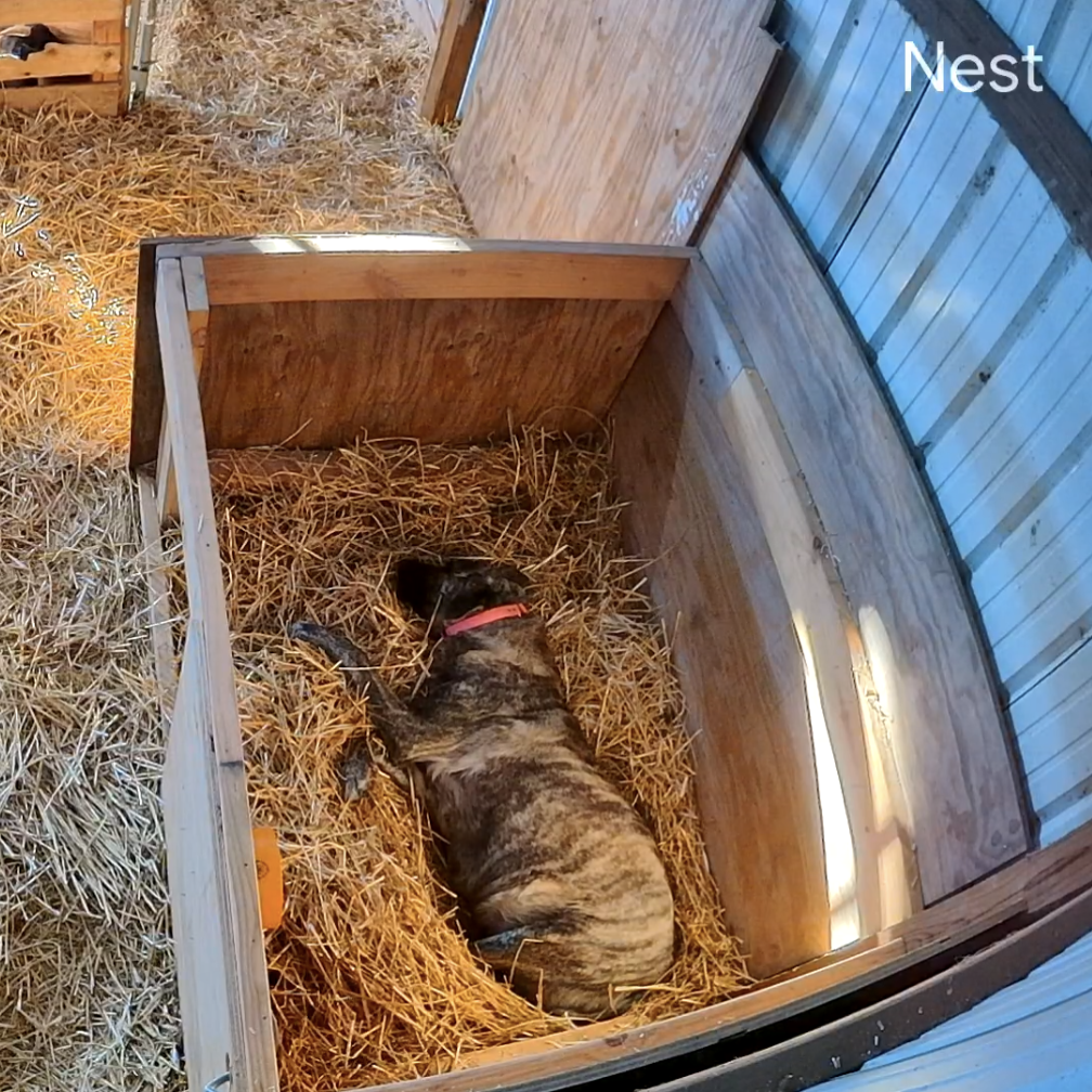 Post from Hidden Heights Farm