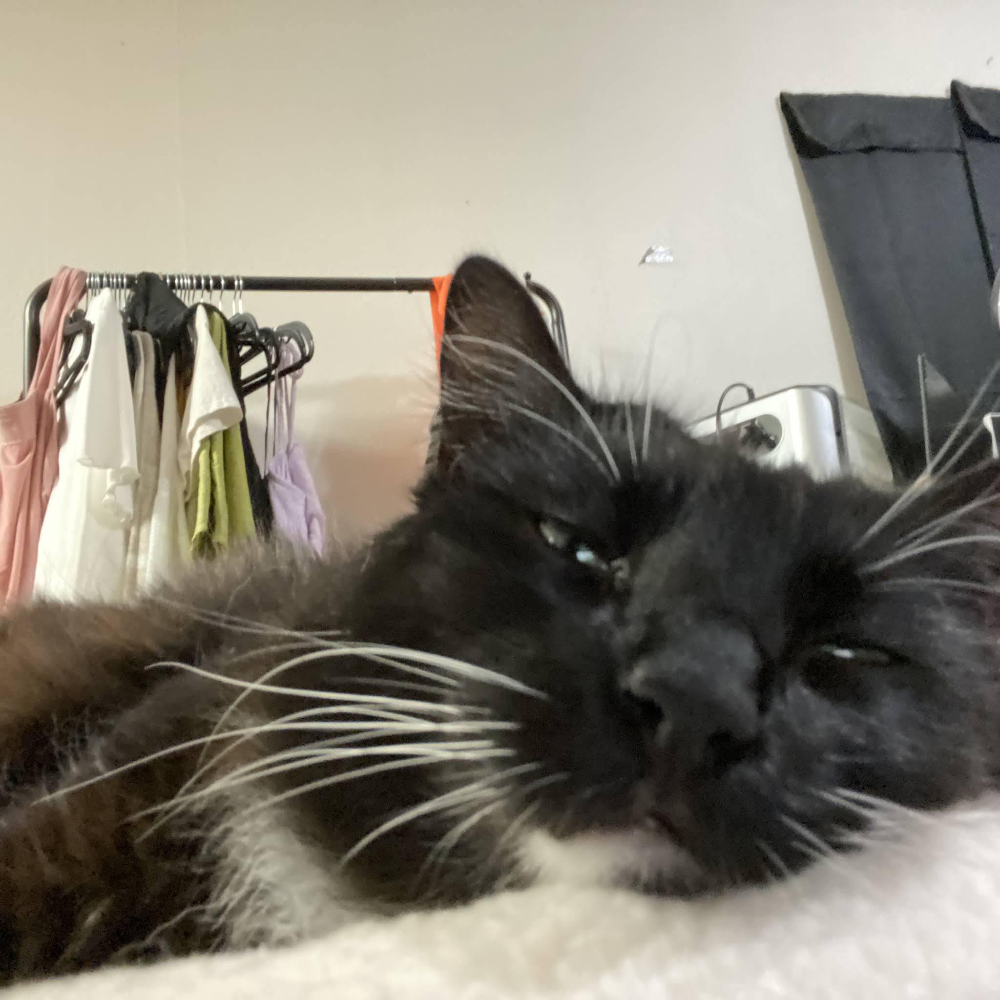 Post from sarriebearrie