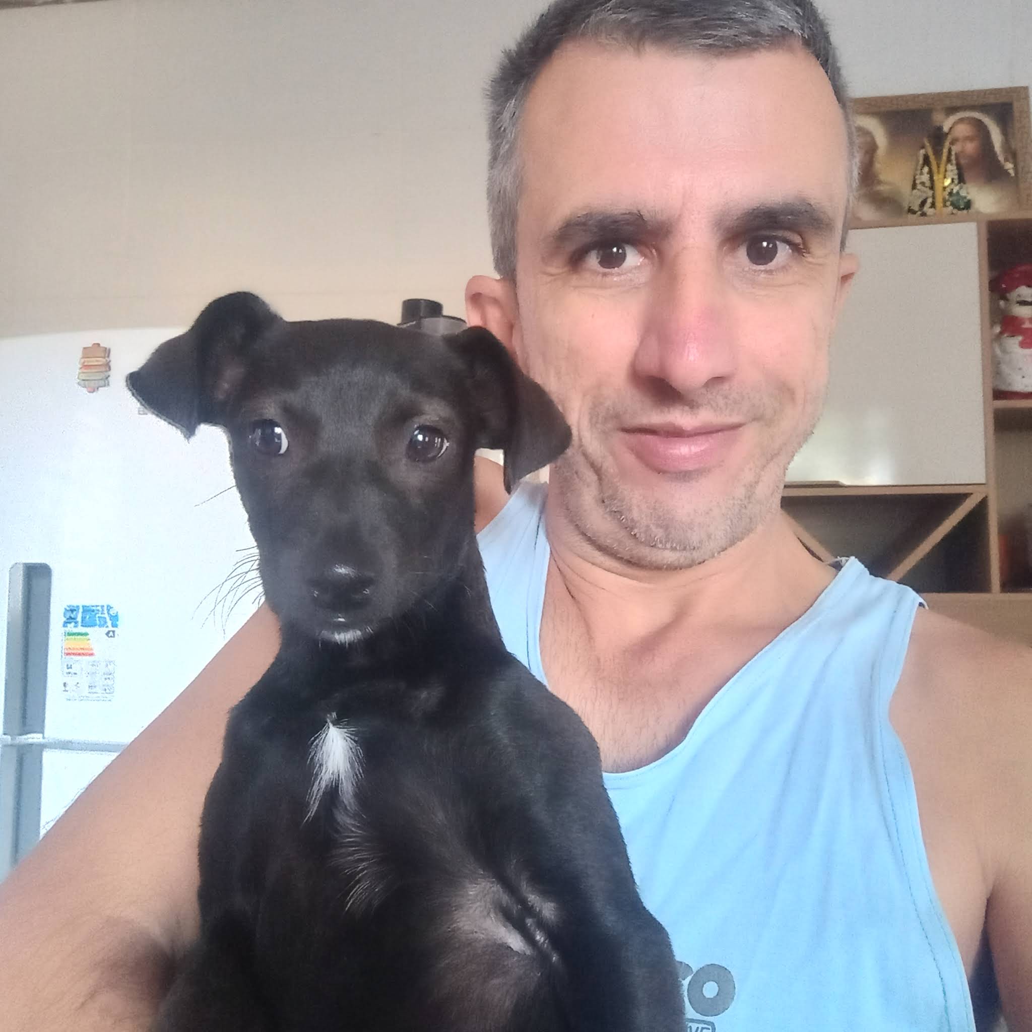 Post from Aventuras Mel Tube - Pets