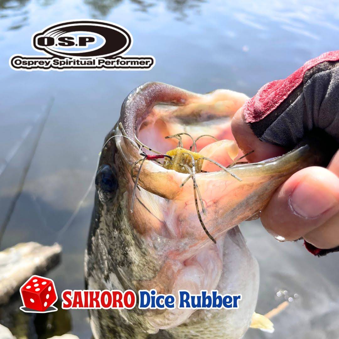 Post from Fishing Japanese Secret. Angler Waki