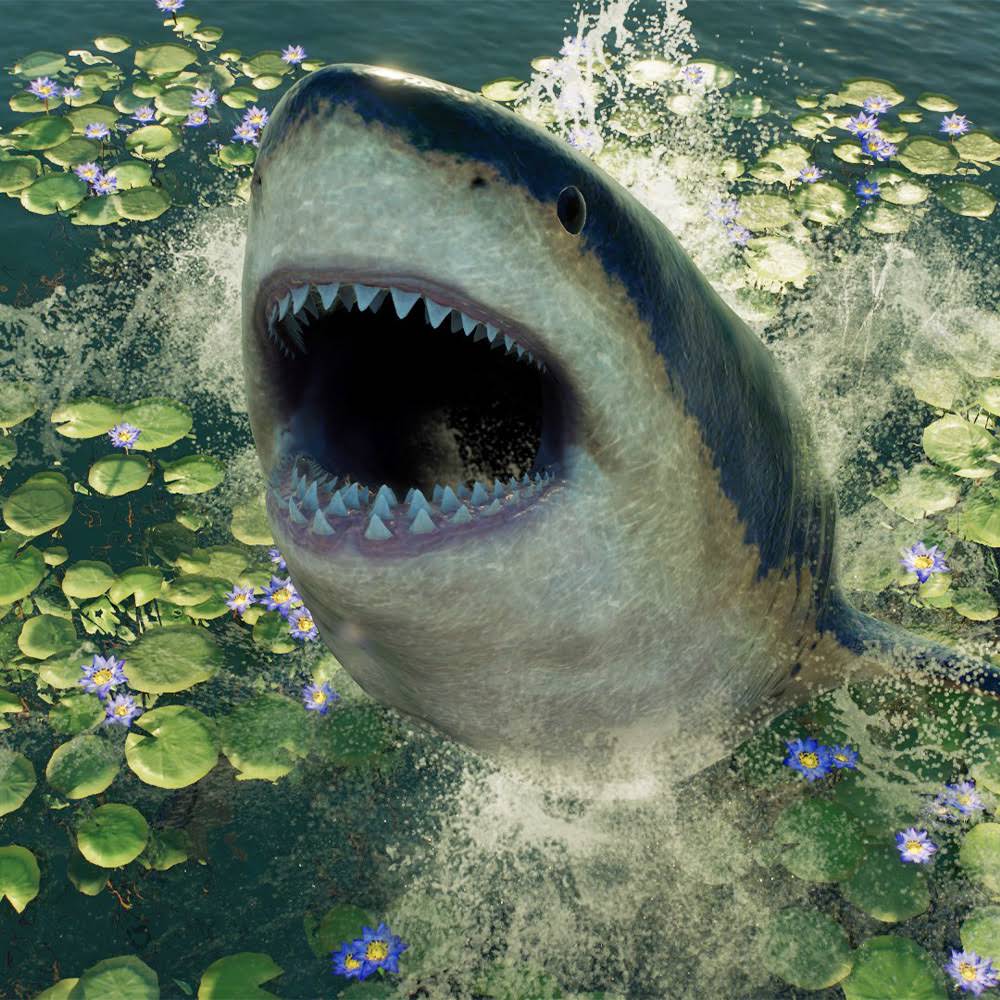 Post from Evolution Square