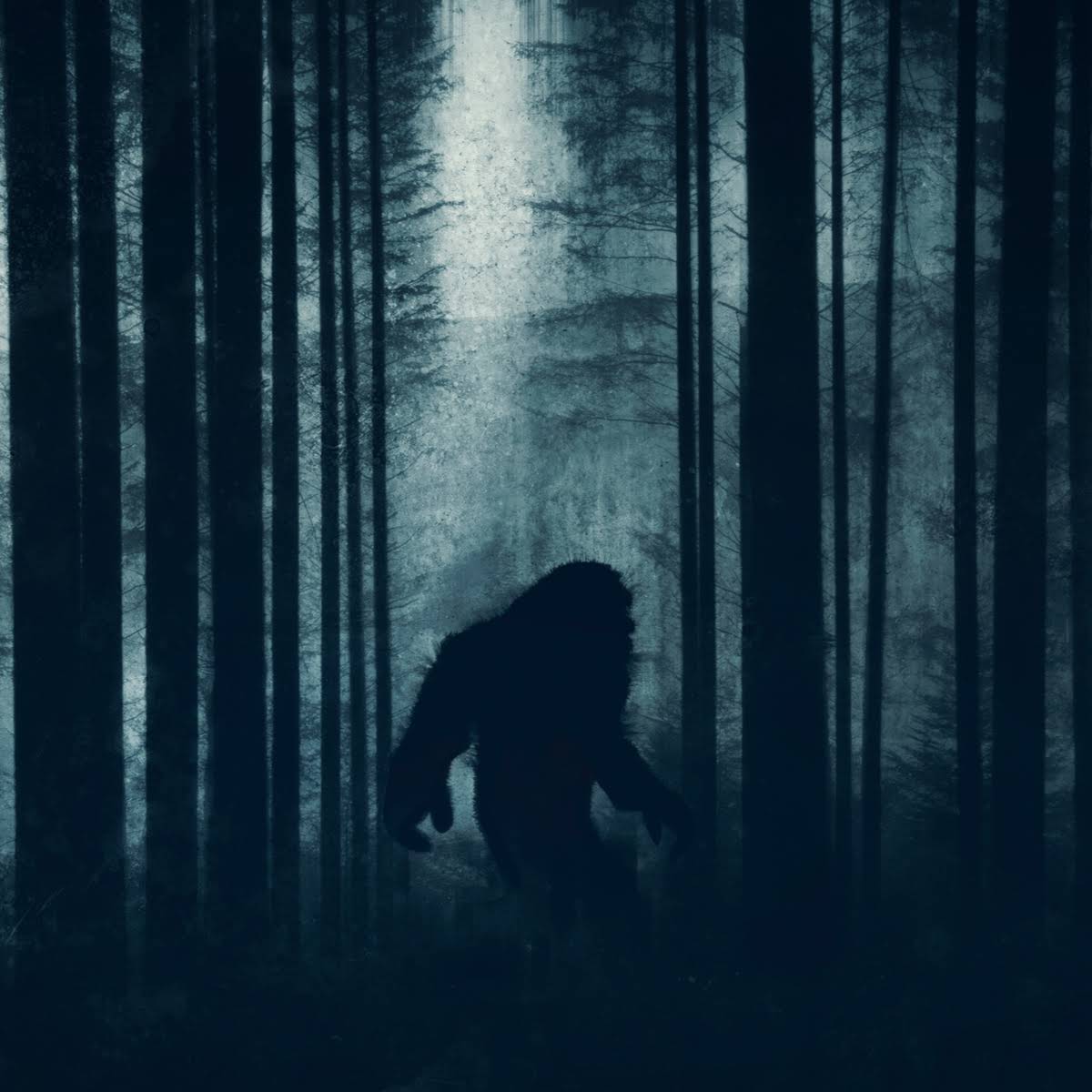 Post from Slapped Ham