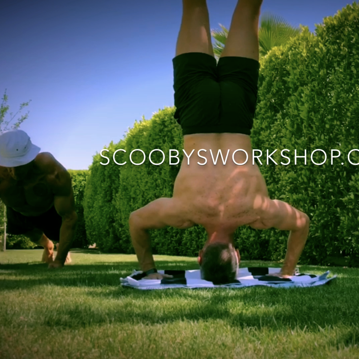 Post from scooby1961