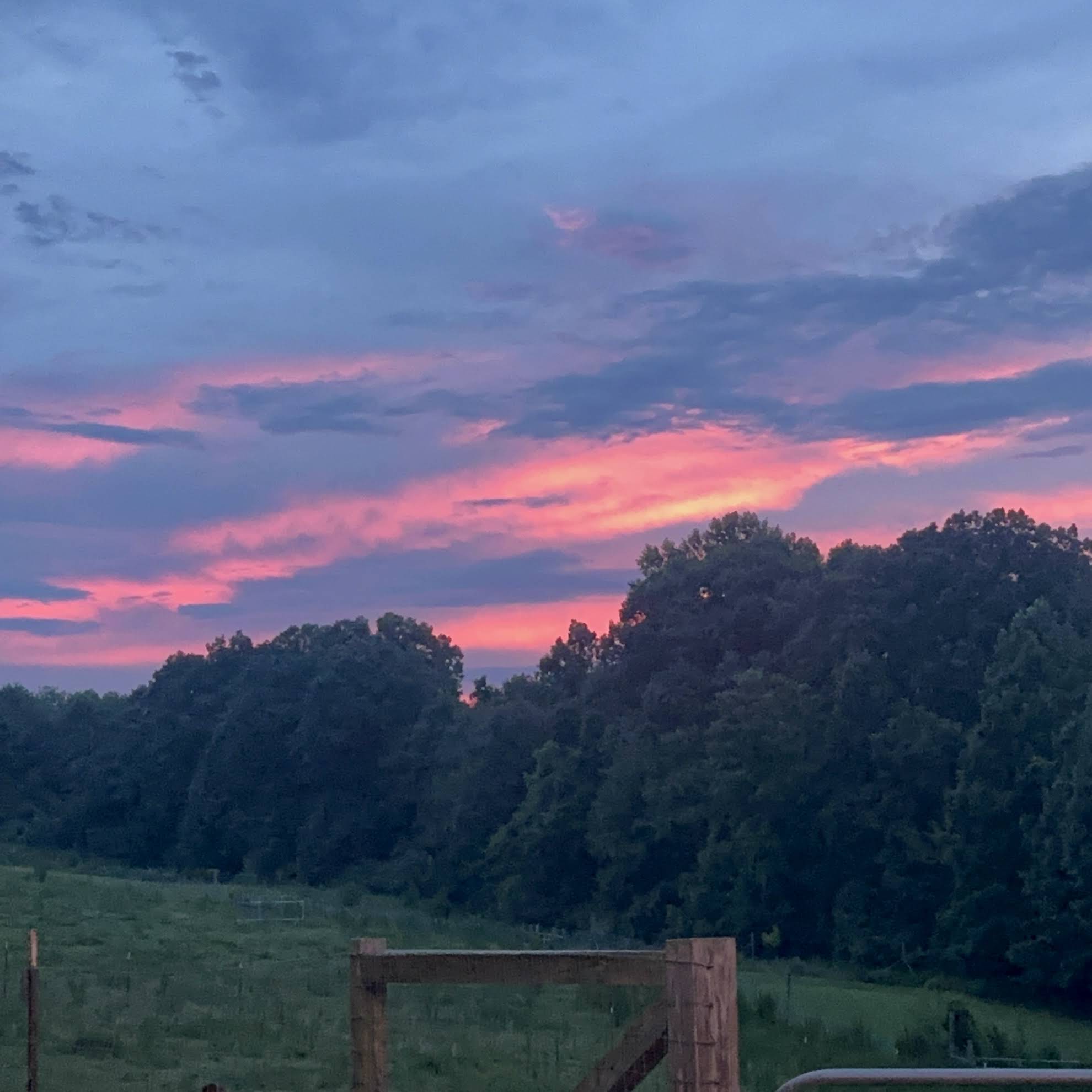 Post from Appalachia's Homestead with Patara