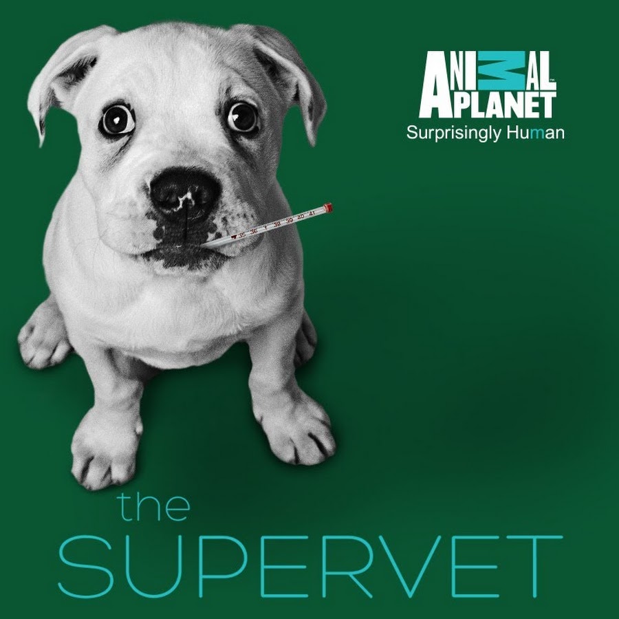 The Supervet - YouTube