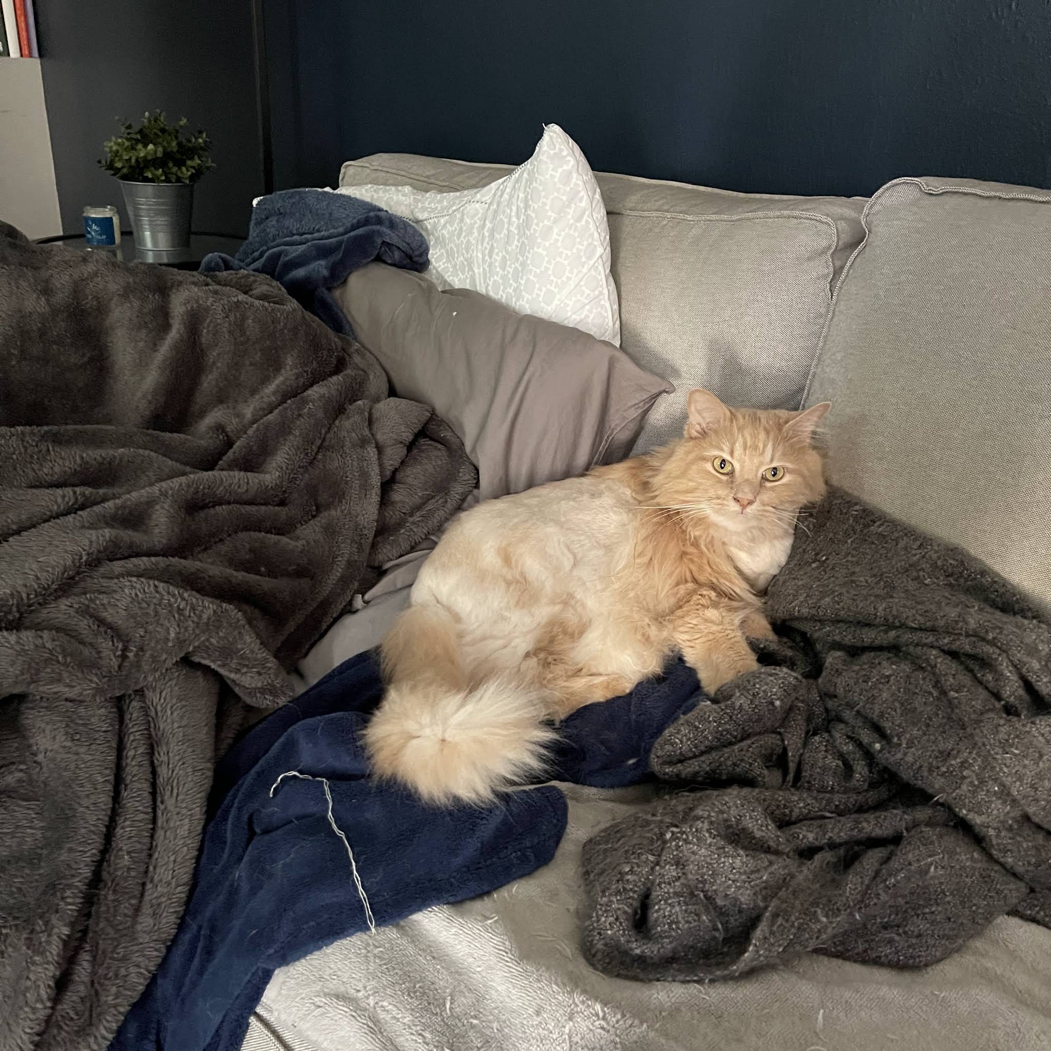 Post from Footless Jo