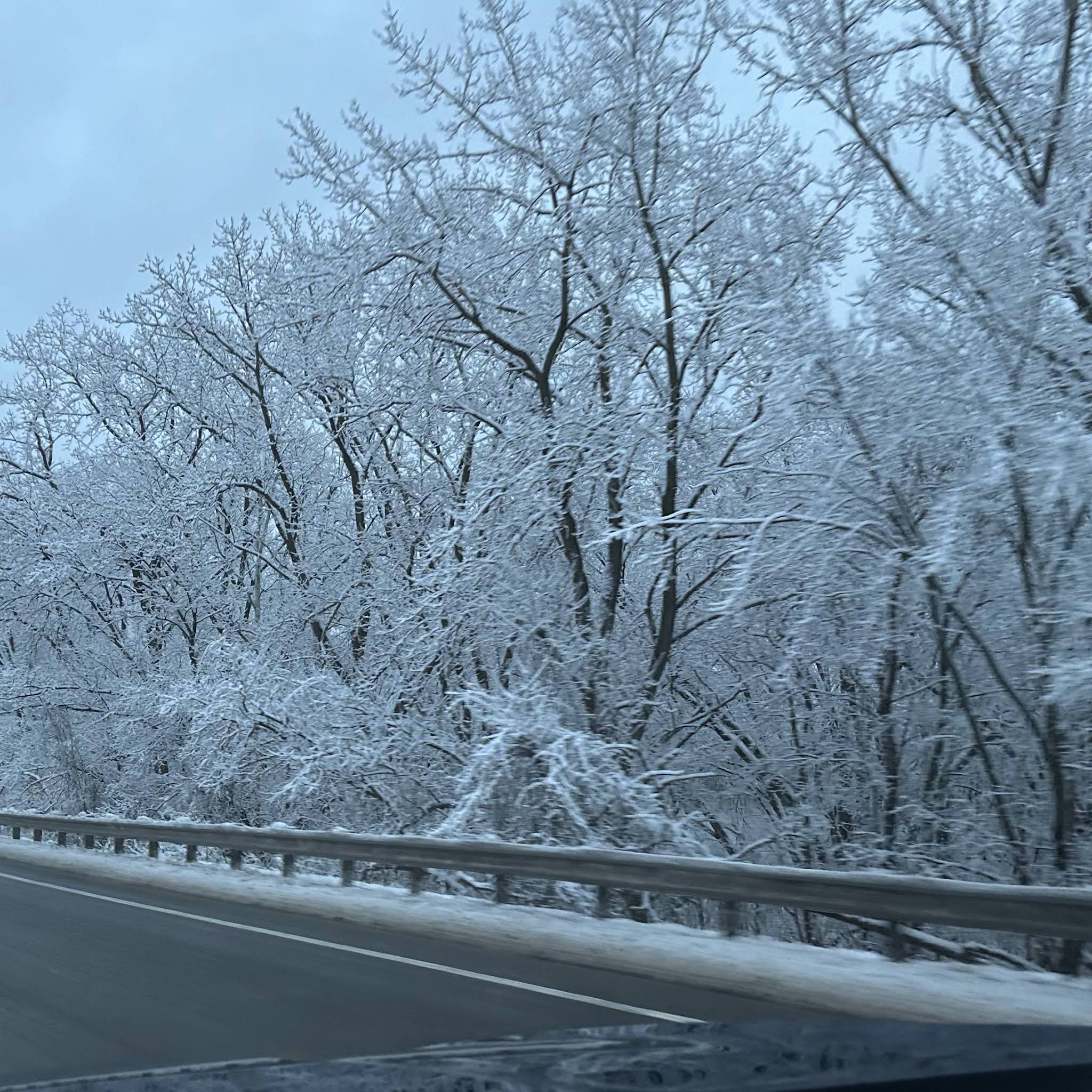 Post from Frank Palmisano