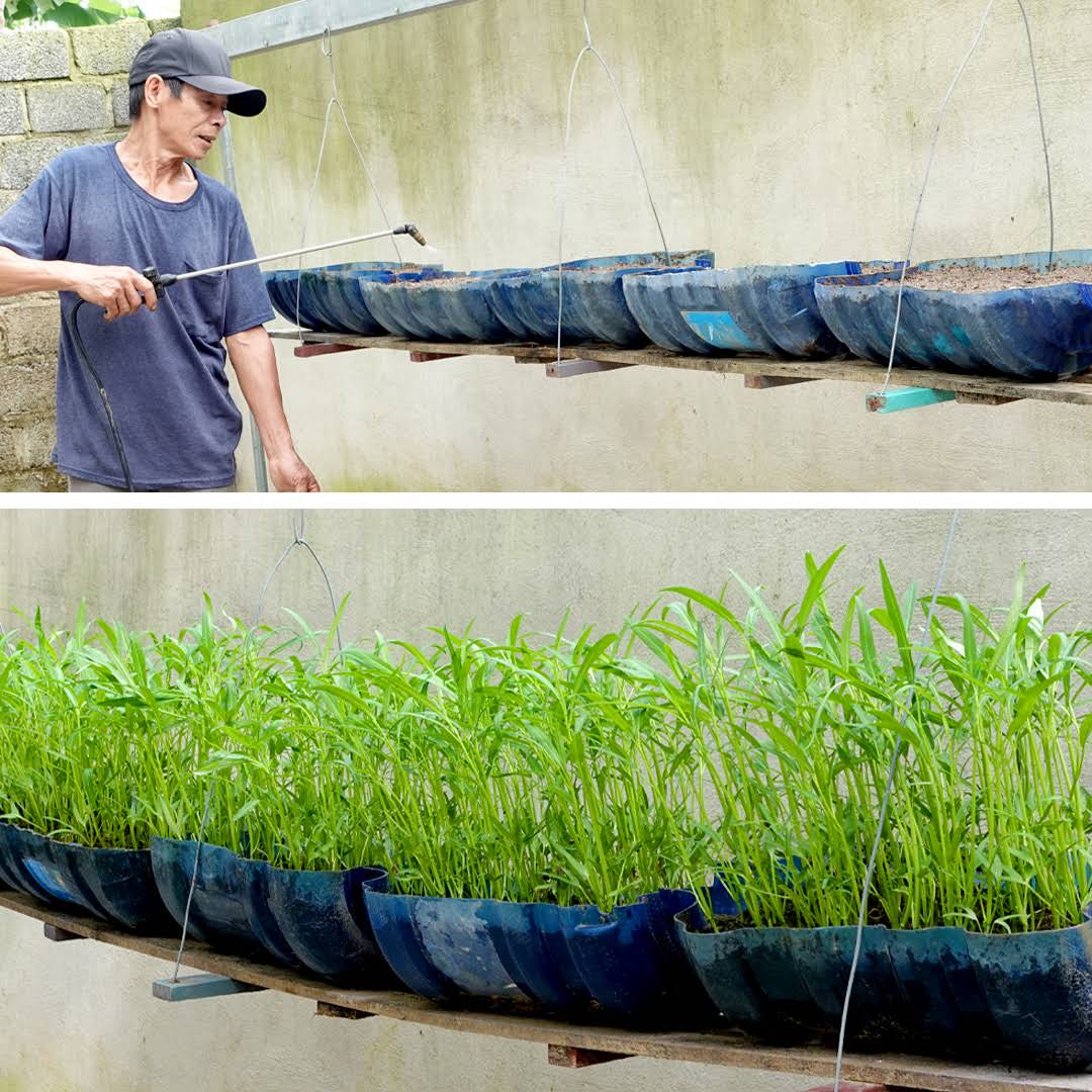 Post from TEO Garden