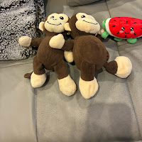 Post from The Monkey Twins and looi