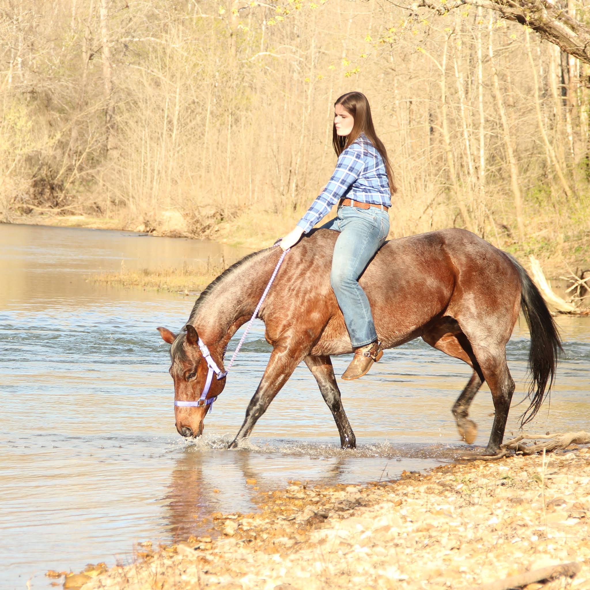 Post from Homestead Horsemanship