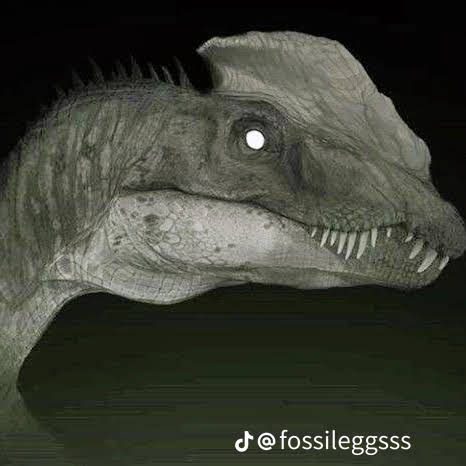 Post from 🦖Monstersaurus Prime🦕