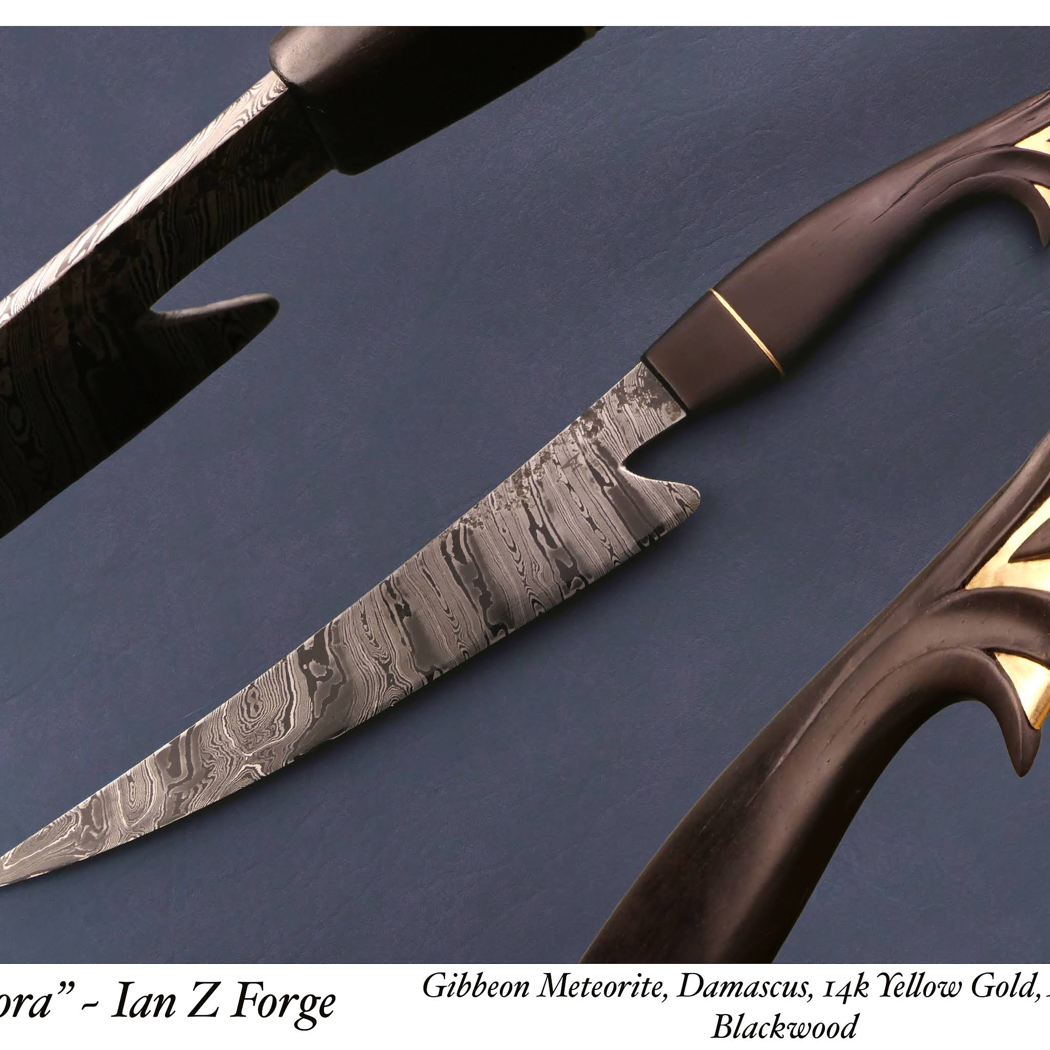 Post from Ian Z Forge