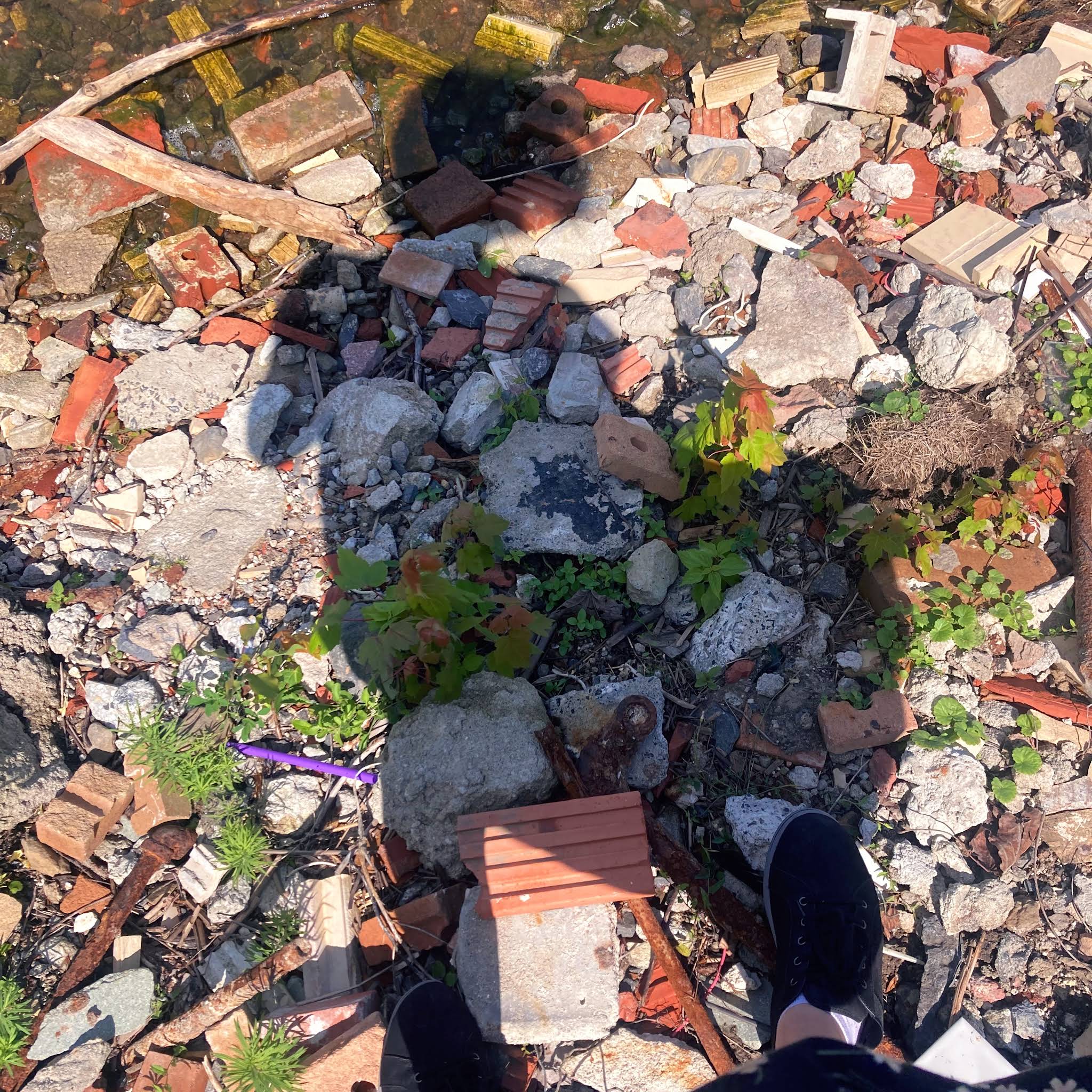 Post from Lily Alexandre