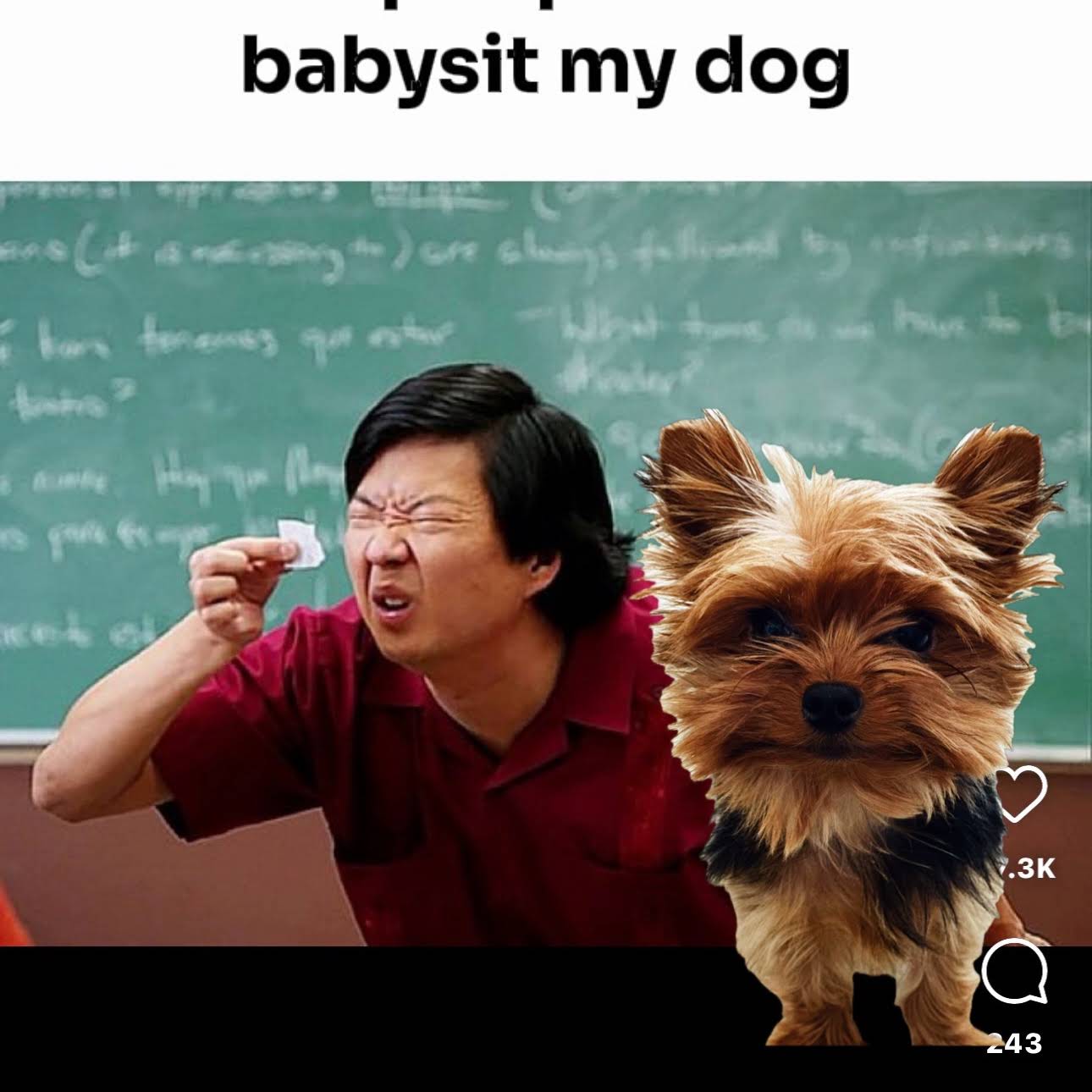 Post from KING THE YORKIE Official