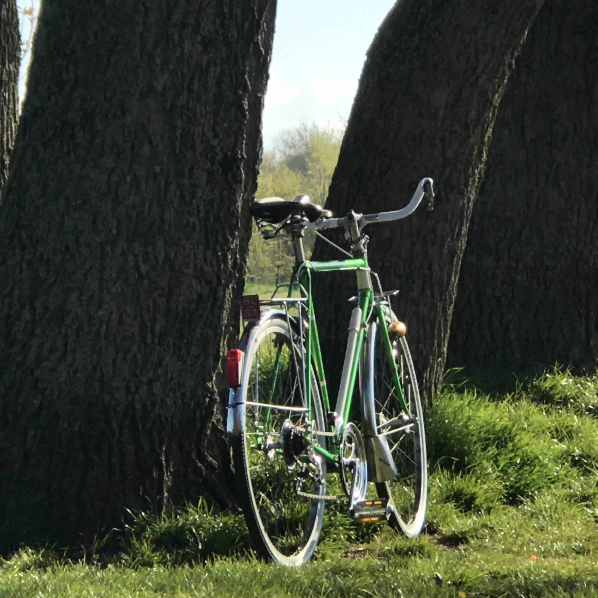 Post from Velocipedium