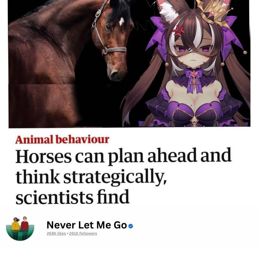 Post from Rima Evenstar