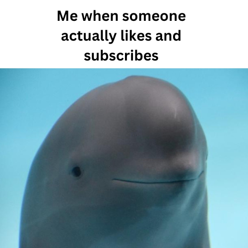Post from Joyanima