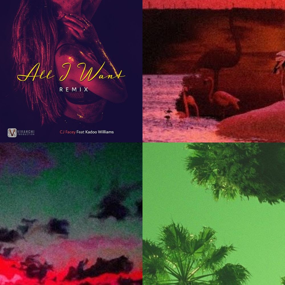 Calvin Harris - Obsessed ft. Shenseea & Charlie puth