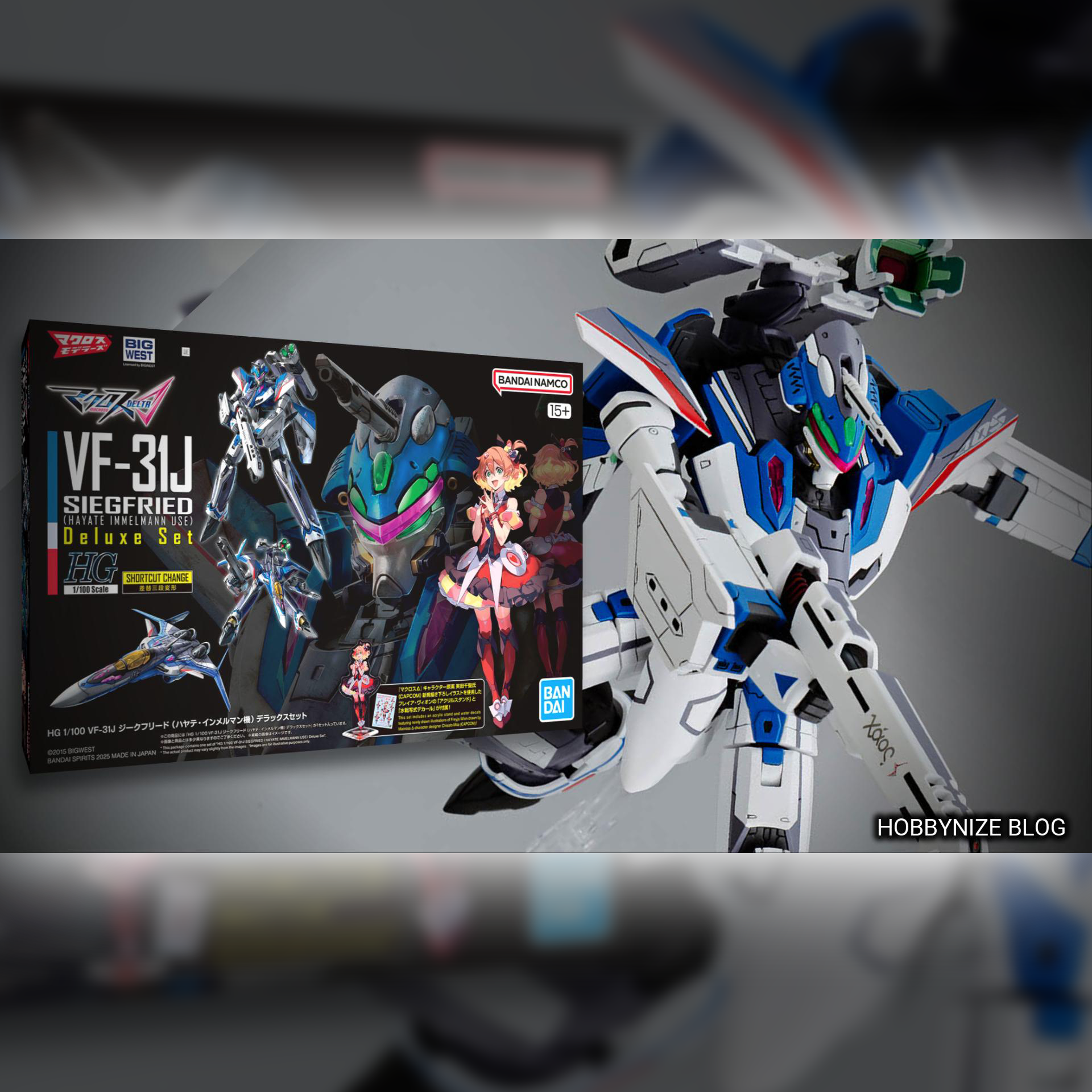 Post from Hobbynize Blog