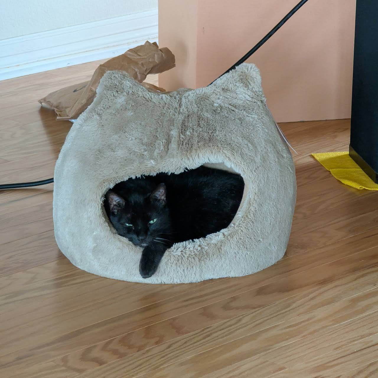 Post from Louis Rossmann