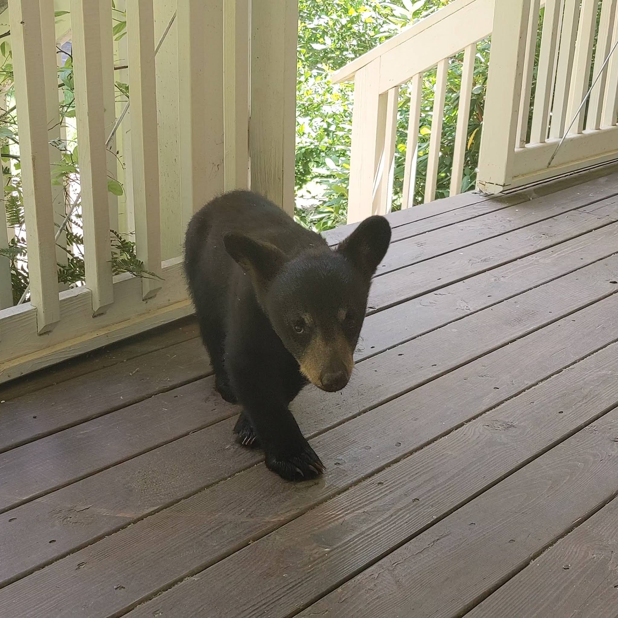 Post from Patrick Conley