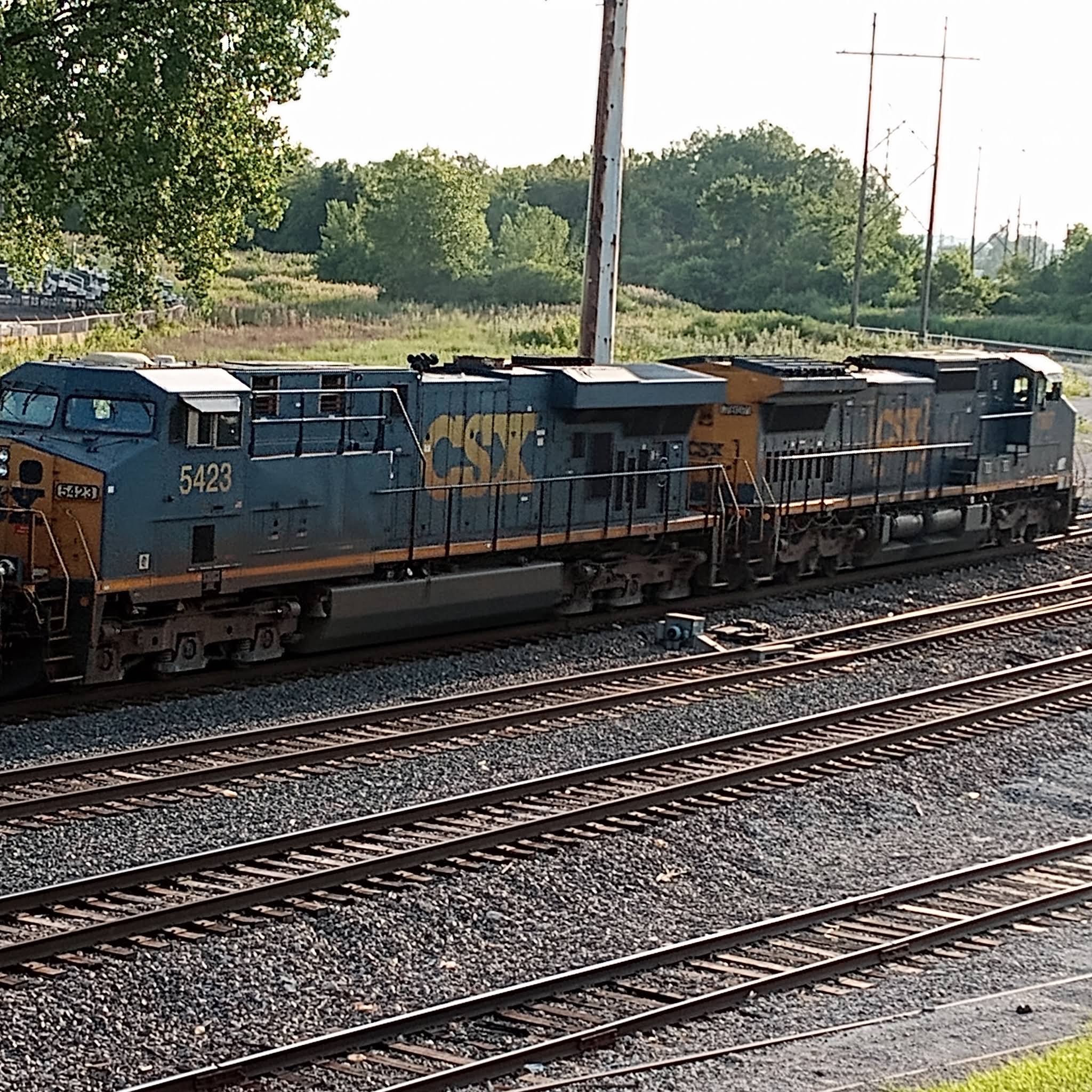 Post from Yard Buzzards