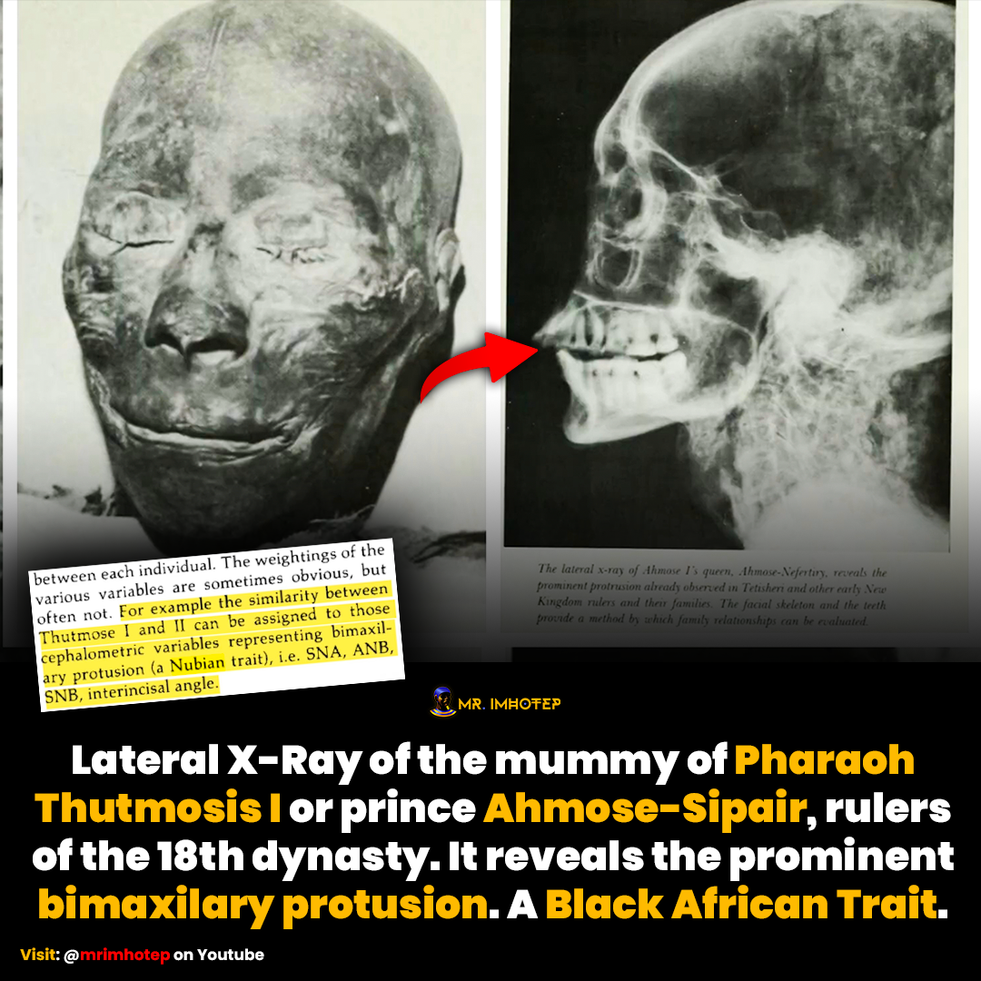 Post from Mr. Imhotep