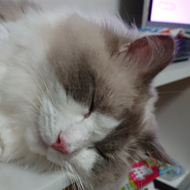 人気YouTuber、Danielの総収入がすごい！？その収益を年収・時給まで徹底分析！