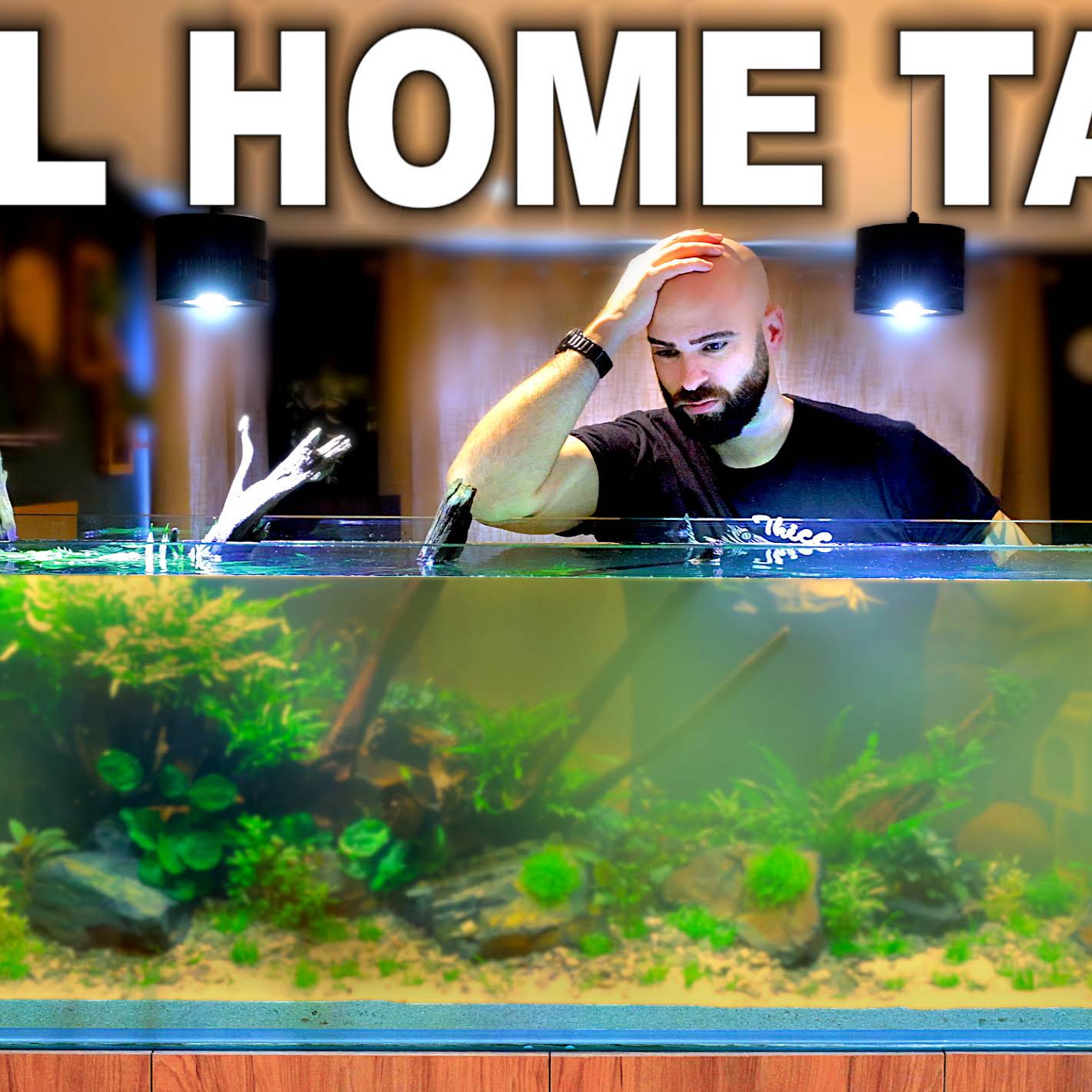 @mdfishtanks | MD Fish Tanks | fishfam.link